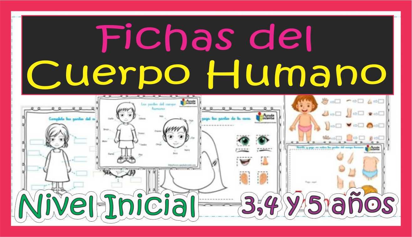 Fichas De Partes Del Cuerpo Humano Para Niños De 3 4 Y 5 Años De